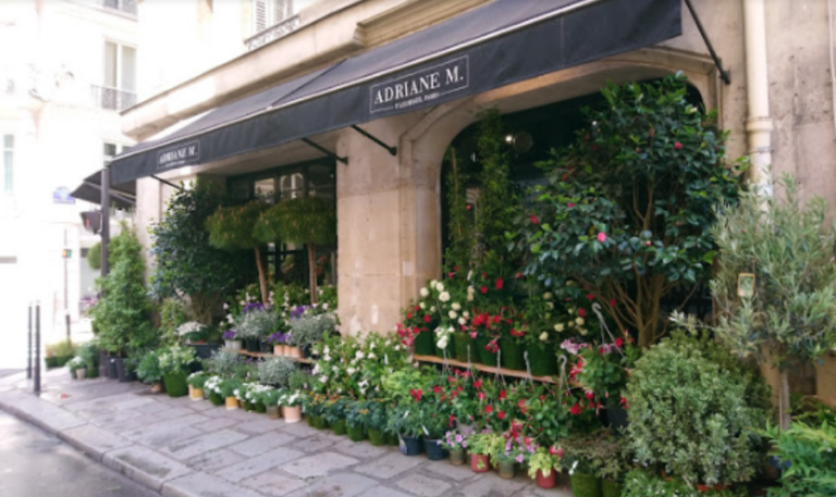 Les 15 meilleurs fleuristes de Paris [2024] - Parisensuel